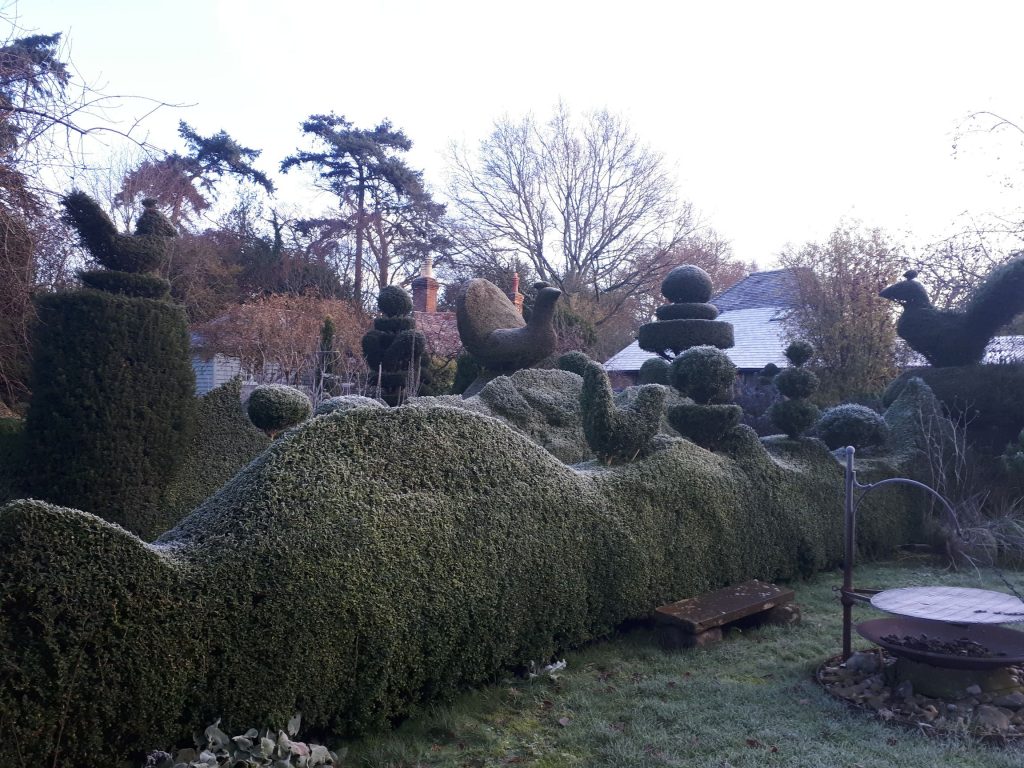 Topiary In The Snow - Modern Mint