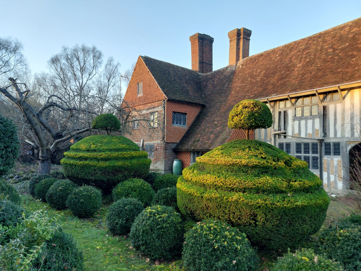 7 Rules For Modern Topiary - Modern Mint